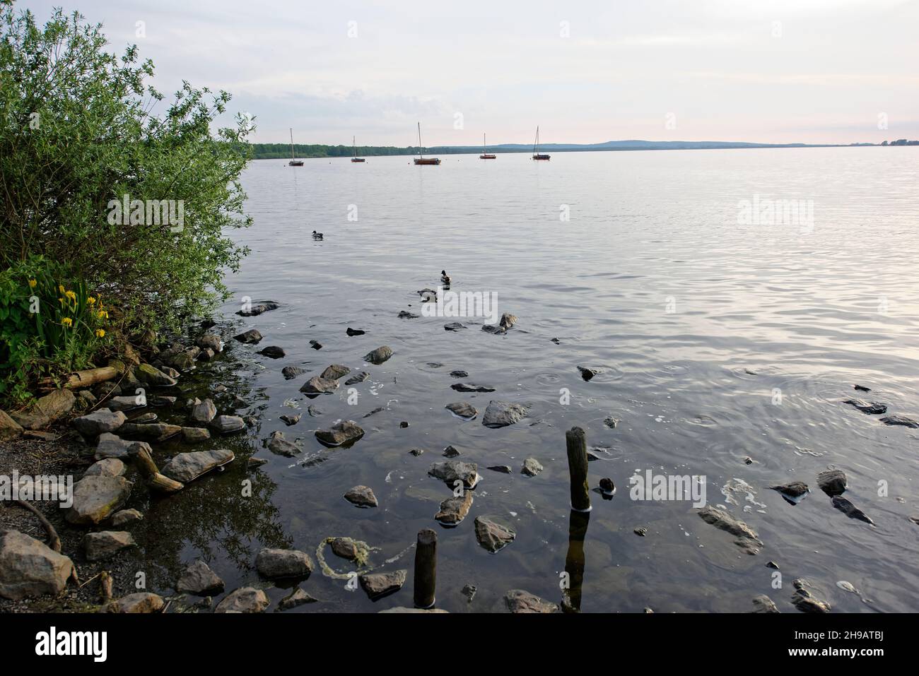 Sunset at Steinhuder Meer,Hanover,Germany.Steihuder Meer Nature Park ...