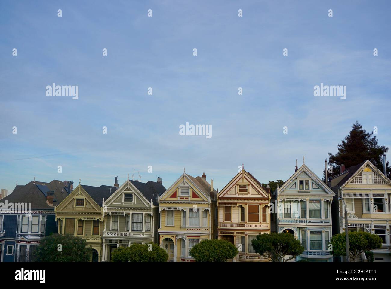 Paintedladies hi-res stock photography and images - Alamy