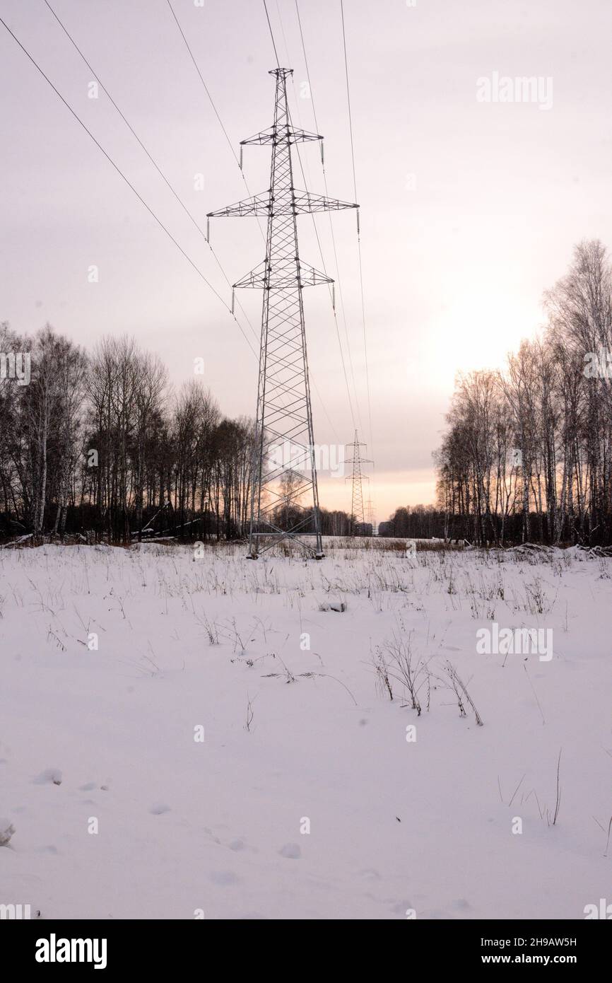 Tall metal poles of an electric transmission line stand in a forest ...
