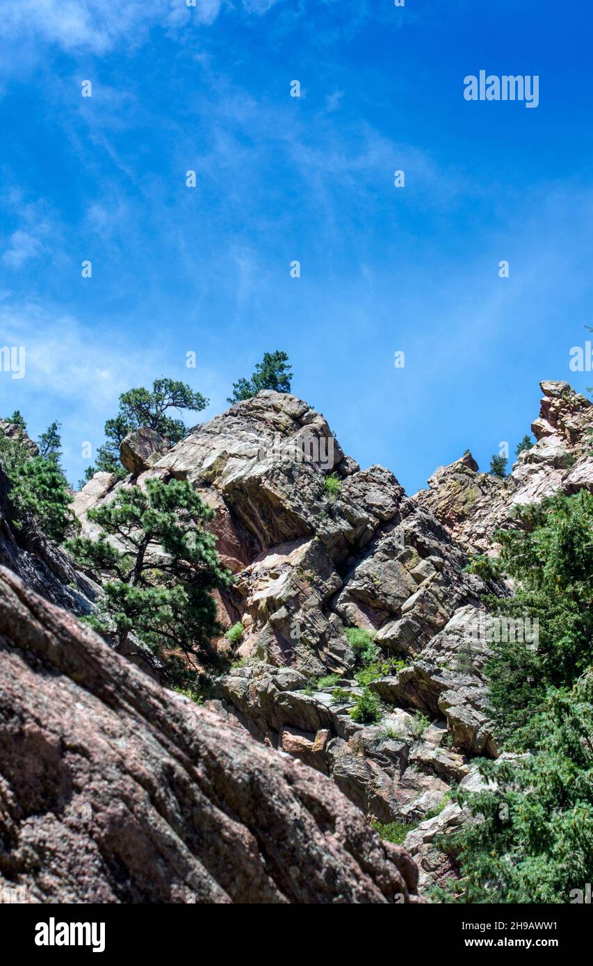 sturdy trees grow on the side of this tilting rocky cliff-side in ...
