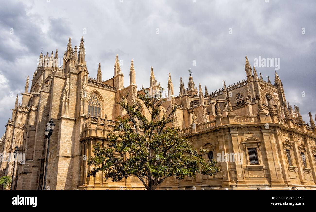 Seville Cathedral, UNESCO World Heritage site, Seville, Seville ...