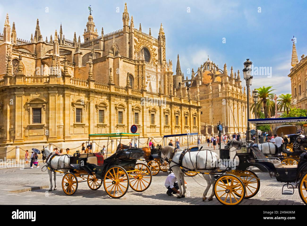 Horse carriage in front of Seville Cathedral, UNESCO World Heritage ...