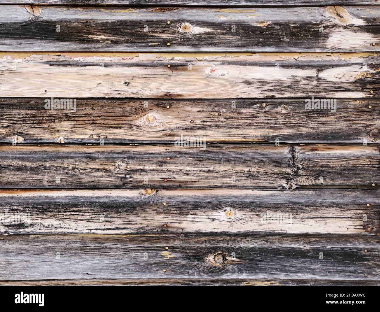 Close up of weathered wooden siding with woodgrain and knots on a ...
