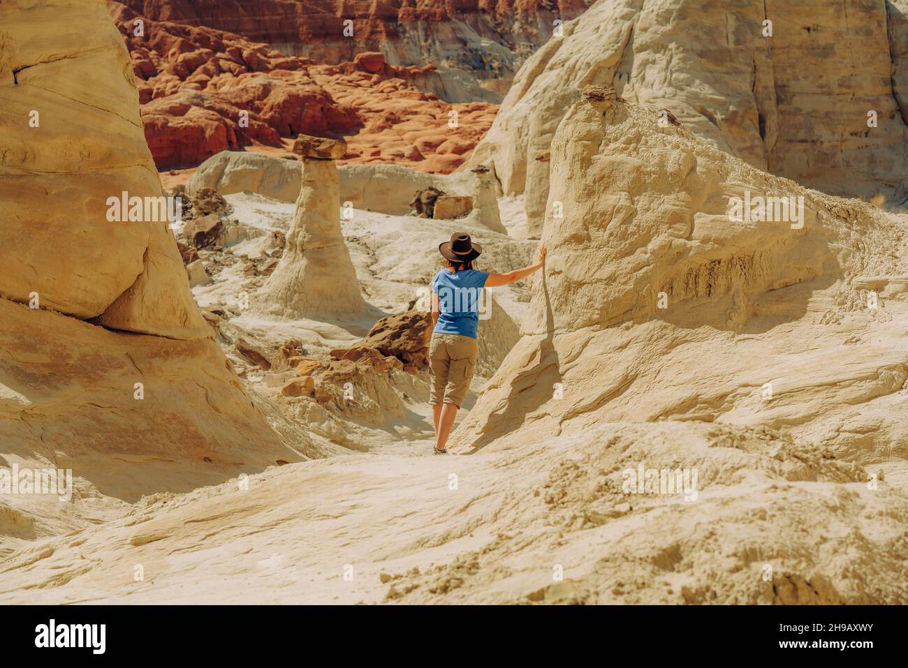 Grand Staircase-Escalante national monumen, Utah. Toadstools, an ...