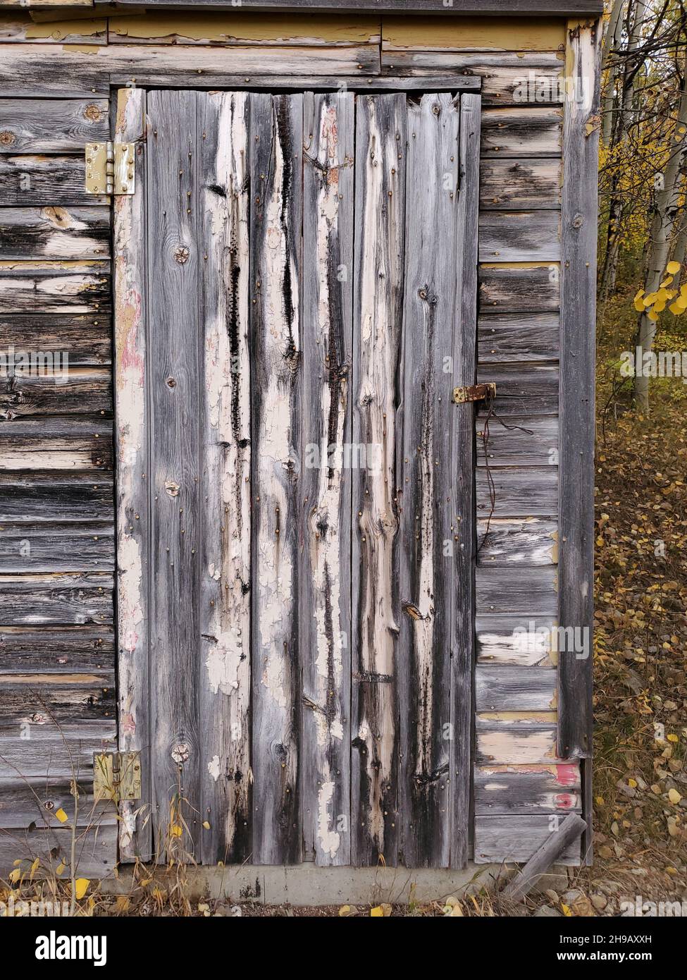 Weathered wooden shed with wooden door photographed in autumn with ...