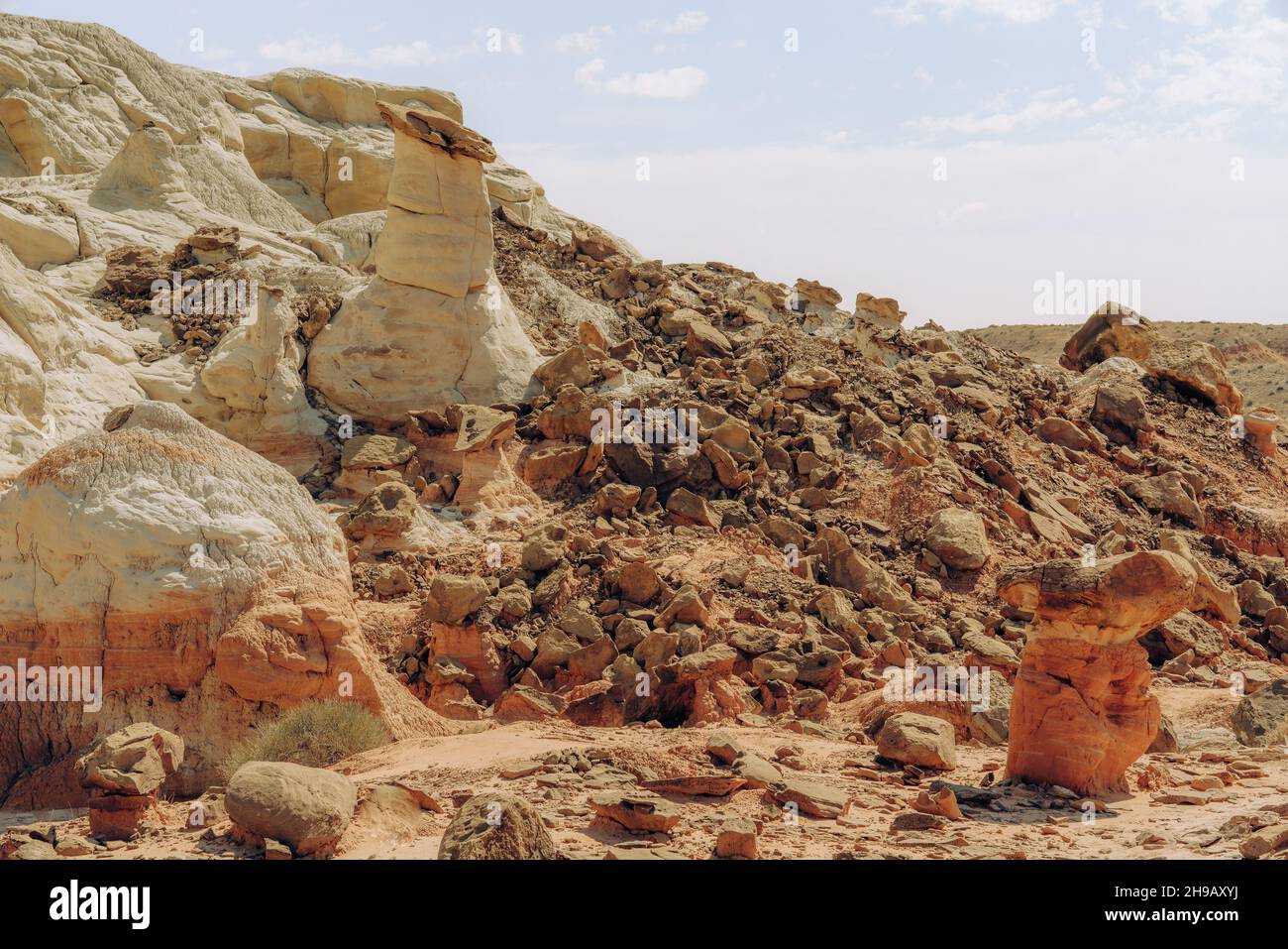 Grand Staircase-Escalante national monumen, Utah. Toadstools, an ...