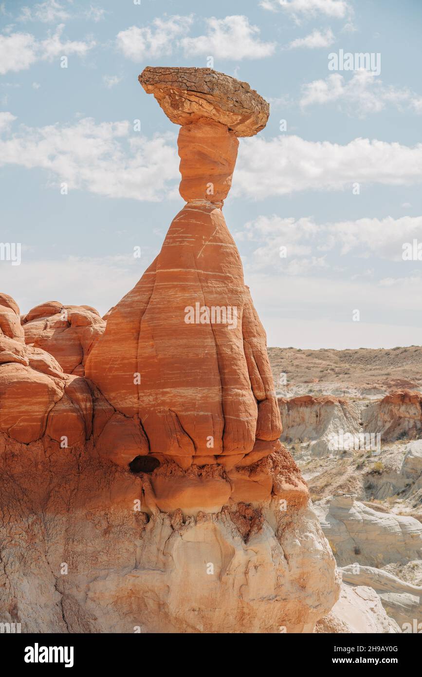 Grand Staircase-Escalante national monumen, Utah. Toadstools, an ...