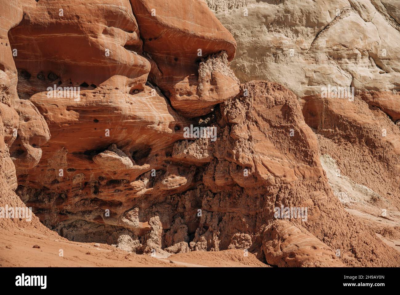 Grand Staircase-Escalante national monumen, Utah. Toadstools, an ...