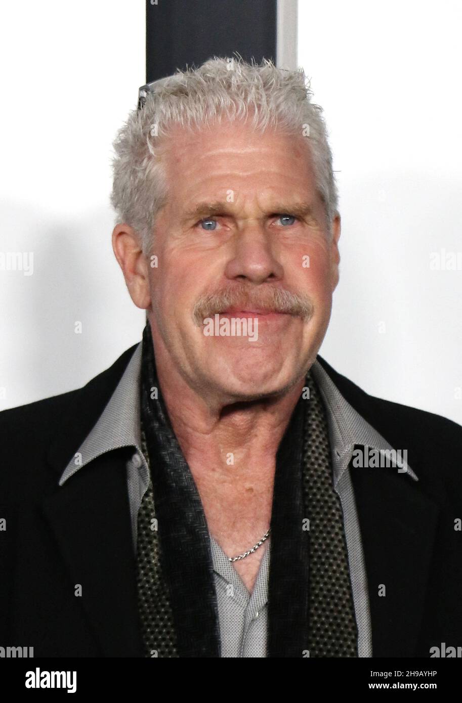 New York, NY, USA. 5th Dec, 2021. Ron Perlman at the Netflix World ...