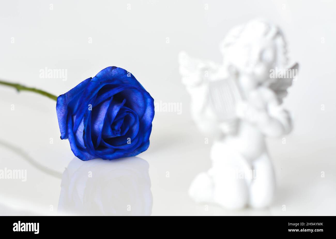 Ceramic figure of an angel on the white glossy surface and a blue rose ...