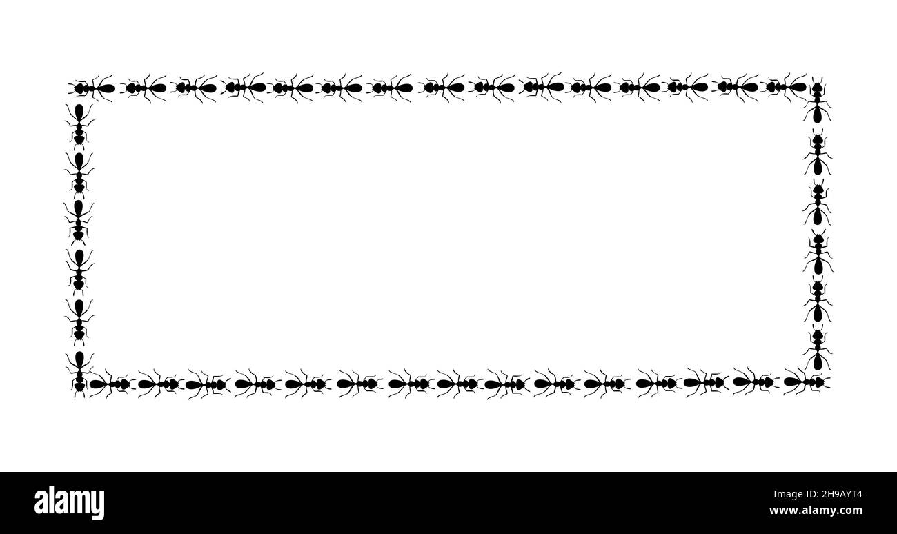 Black ants square border. Ants forming rectangular shape isolated in ...