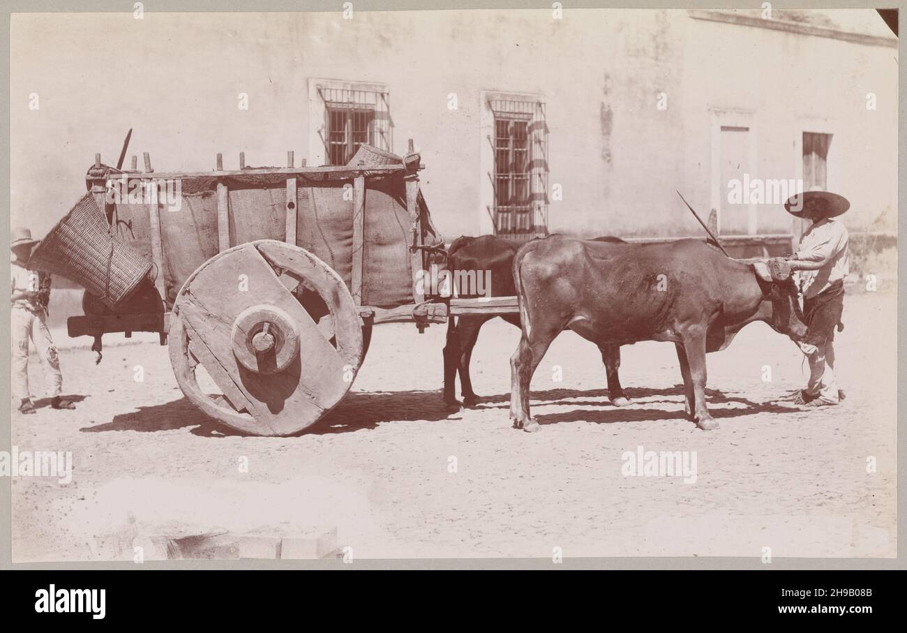 Mexican oxcart, Old Mexico1898, Mayo & Weed photographers Stock Photo ...