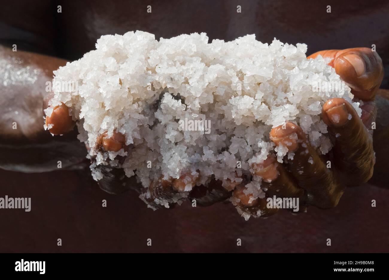 Worker harvesting salt on Lake Retba (Pink Lake), UNESCO World Heritage ...