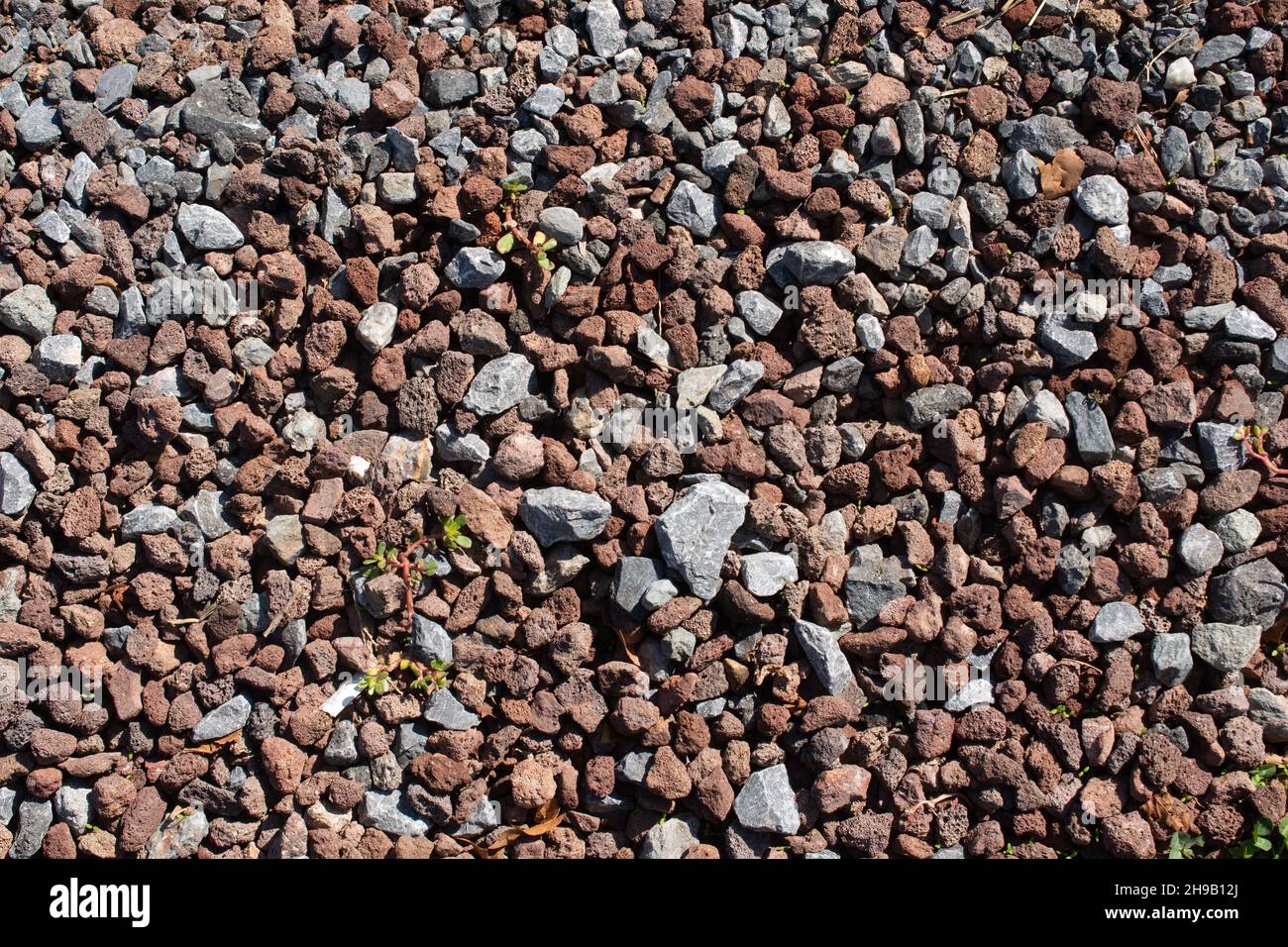 Background texture consist of full of little pebbles Stock Photo - Alamy