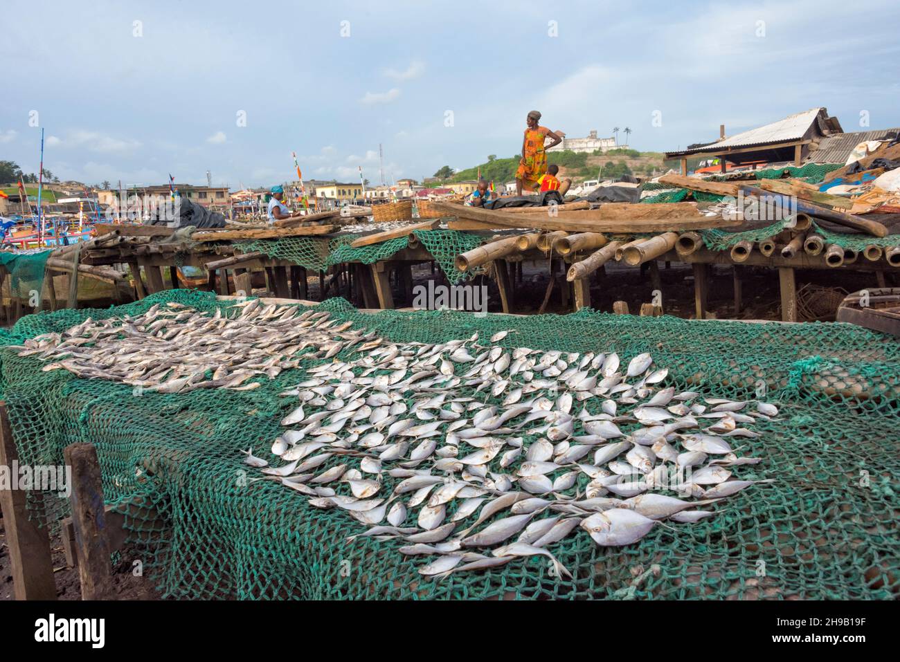 Drying fish in the harbor, Elmina, Central Region, Ghana Stock Photo ...