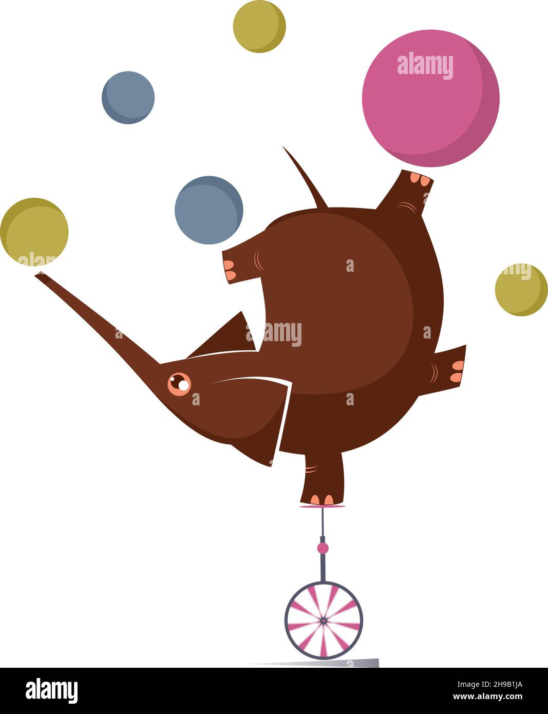 Equilibrist elephant rides on the unicycle and juggles the balls ...