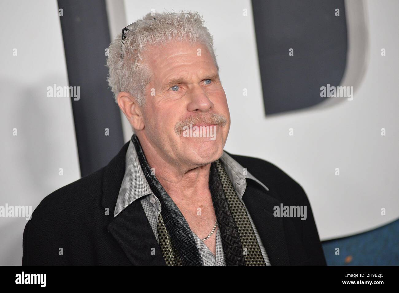 Ron Perlman at arrivals for Netflix Premiere of DON'T LOOK UP, , New ...