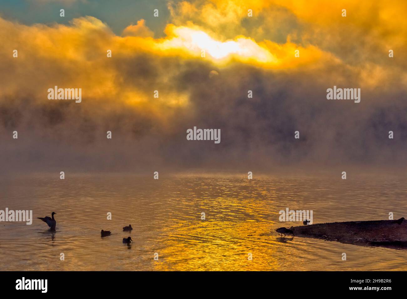 Redmond lake sammamish hi-res stock photography and images - Alamy