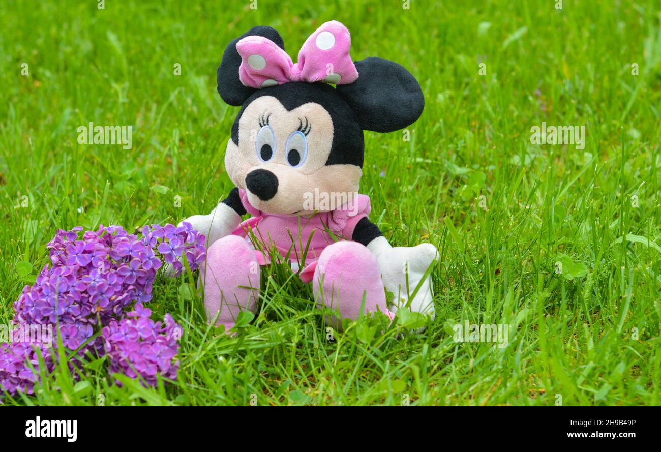 Minnie mouse toy with lilac flowers Stock Photo - Alamy