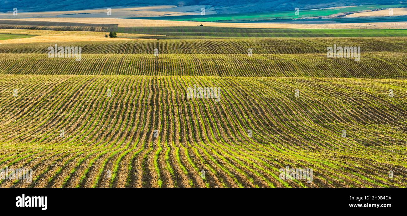 Washington state farming hi-res stock photography and images - Alamy