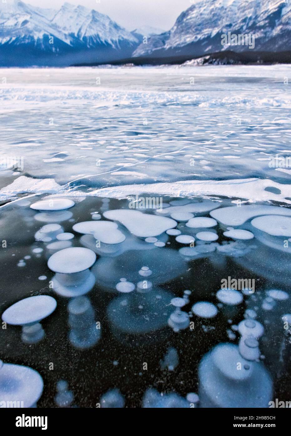 Frozen Bubbles Alberta Canada Frozen Bubbles 🌎Abraham Lake,