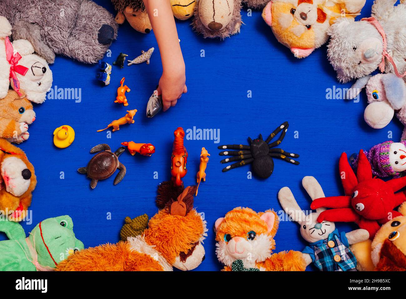 lots of children's soft animal toys on a blue background Stock Photo ...