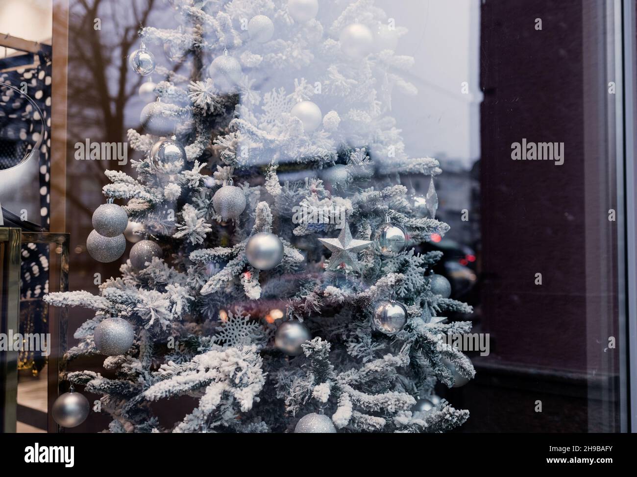 outdoor showcase of a clothing store decorated with a Christmas tree ...