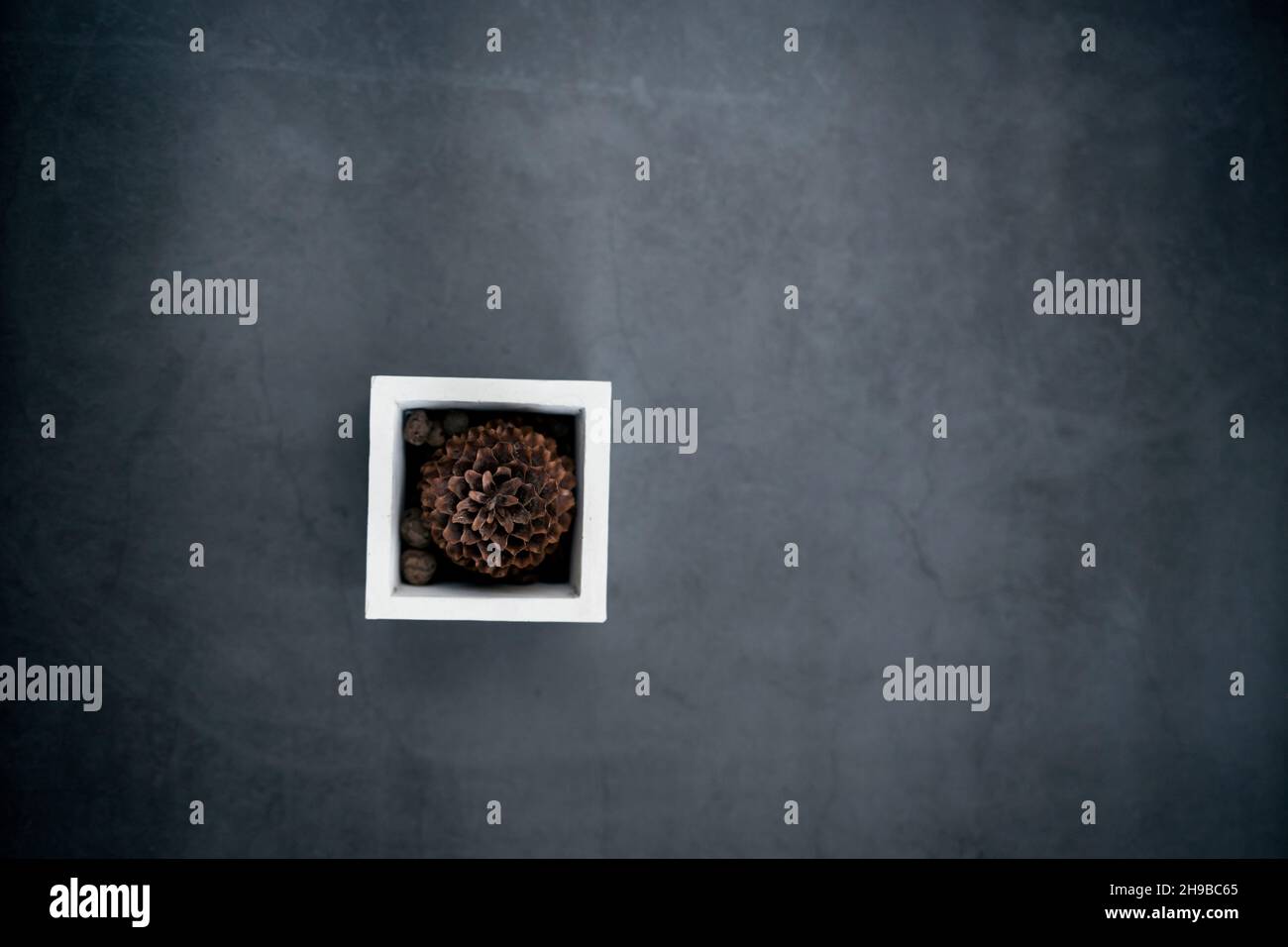 Still life with home decor of cone in modern vase on dark background ...