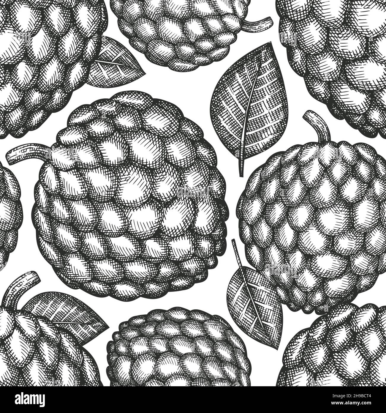 Hand drawn sketch style cherimoya seamless pattern. Organic fresh fruit ...