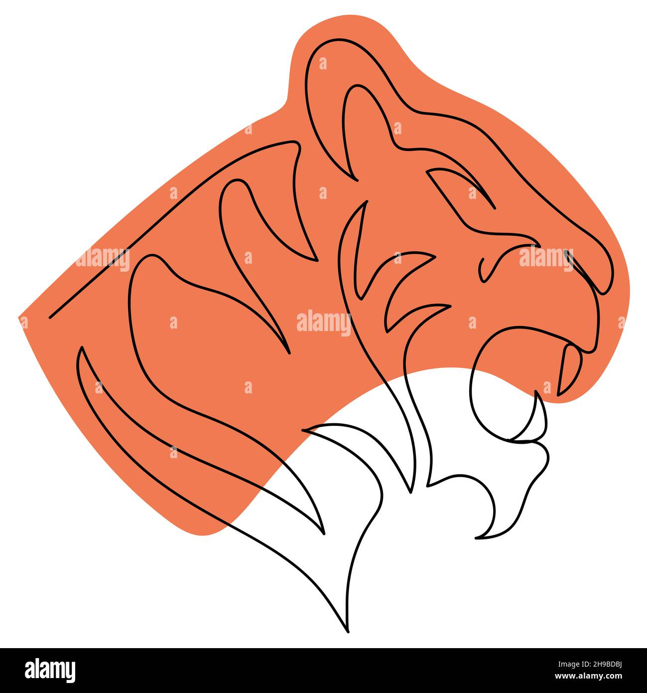 Line drawing tiger hi-res stock photography and images - Alamy