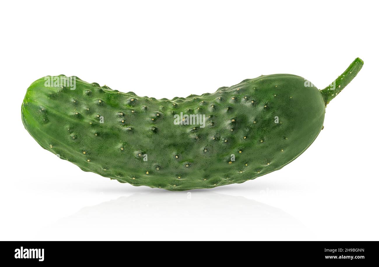 Green isolated cucumber on white background Stock Photo - Alamy