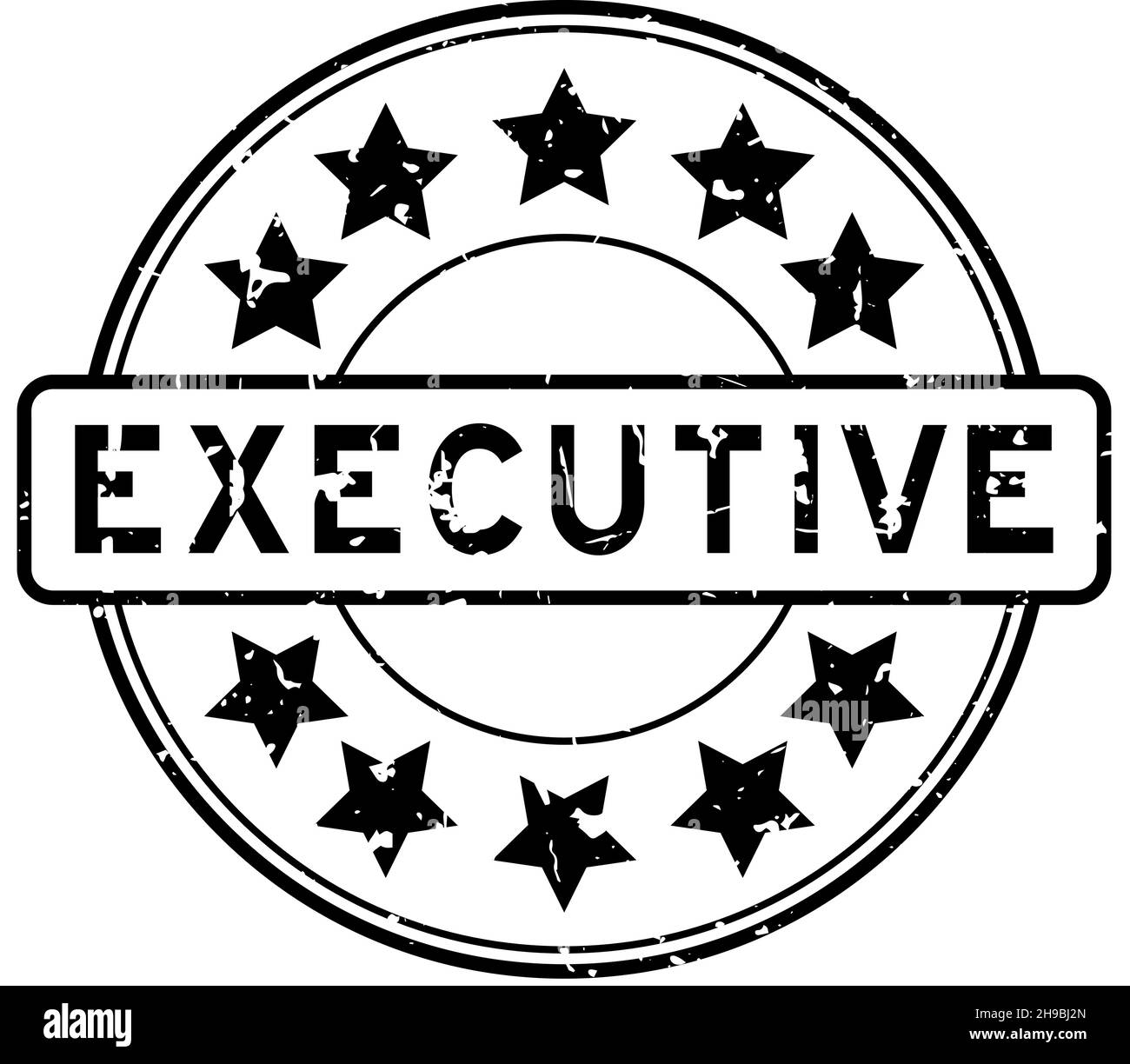 Executive Icon