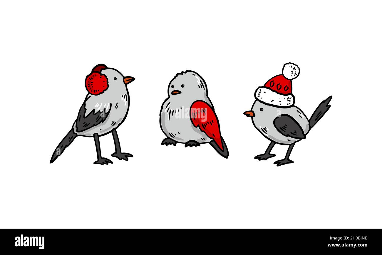 Set of hand drawn birds in winter Christmas style. Vector illustration ...