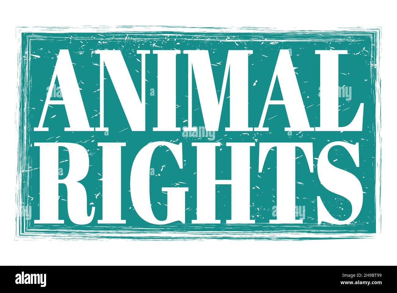 ANIMAL RIGHTS, words written on blue grungy stamp sign Stock Photo - Alamy