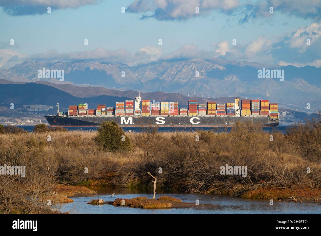 Msc, Container ship near Malaga, with Guadalhorce natural park in front ...