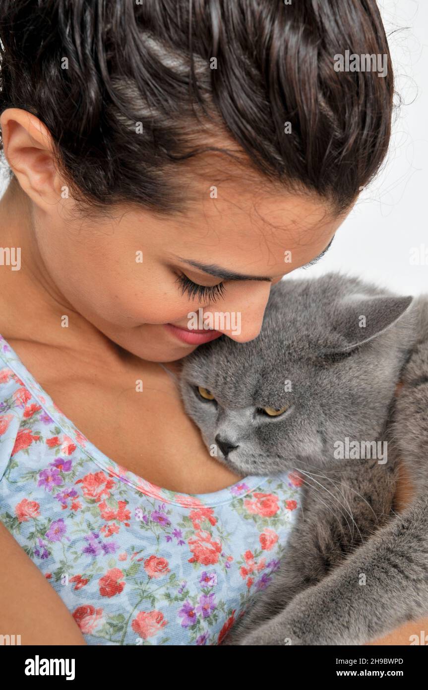 fond female owner with her British Shorthair (AKA British blue) cat ...