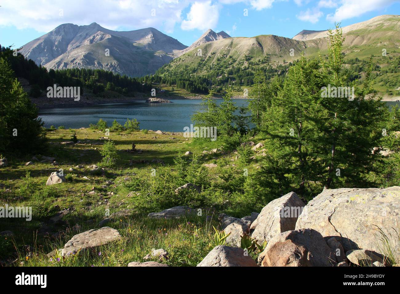 Fir trees on the shore of Lac d'Allos with Notre Dame des Monts on the ...