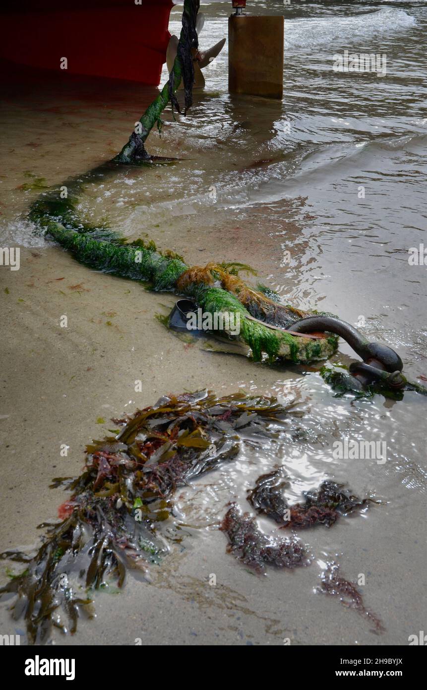 Weed covered mooring rope hi-res stock photography and images - Alamy