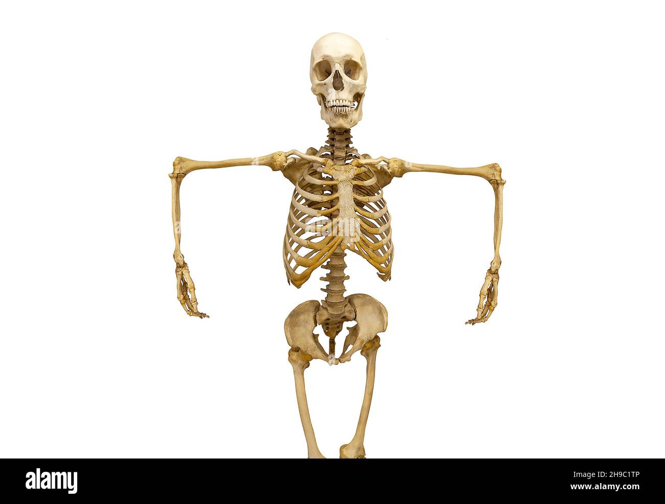 Hospital quality Cut Out Stock Images & Pictures - Alamy