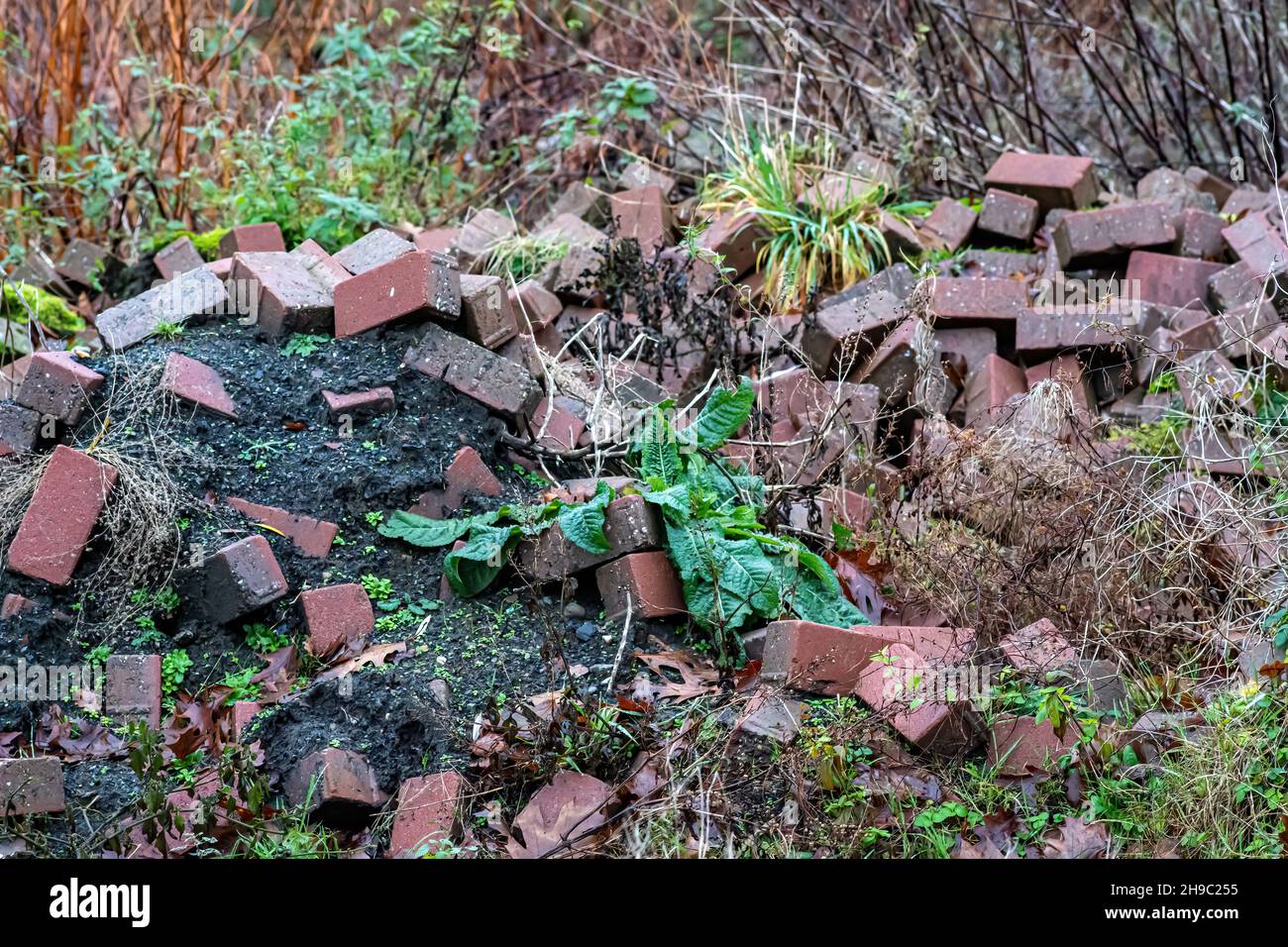 Stones and building materials overgrown by weeds Stock Photo - Alamy
