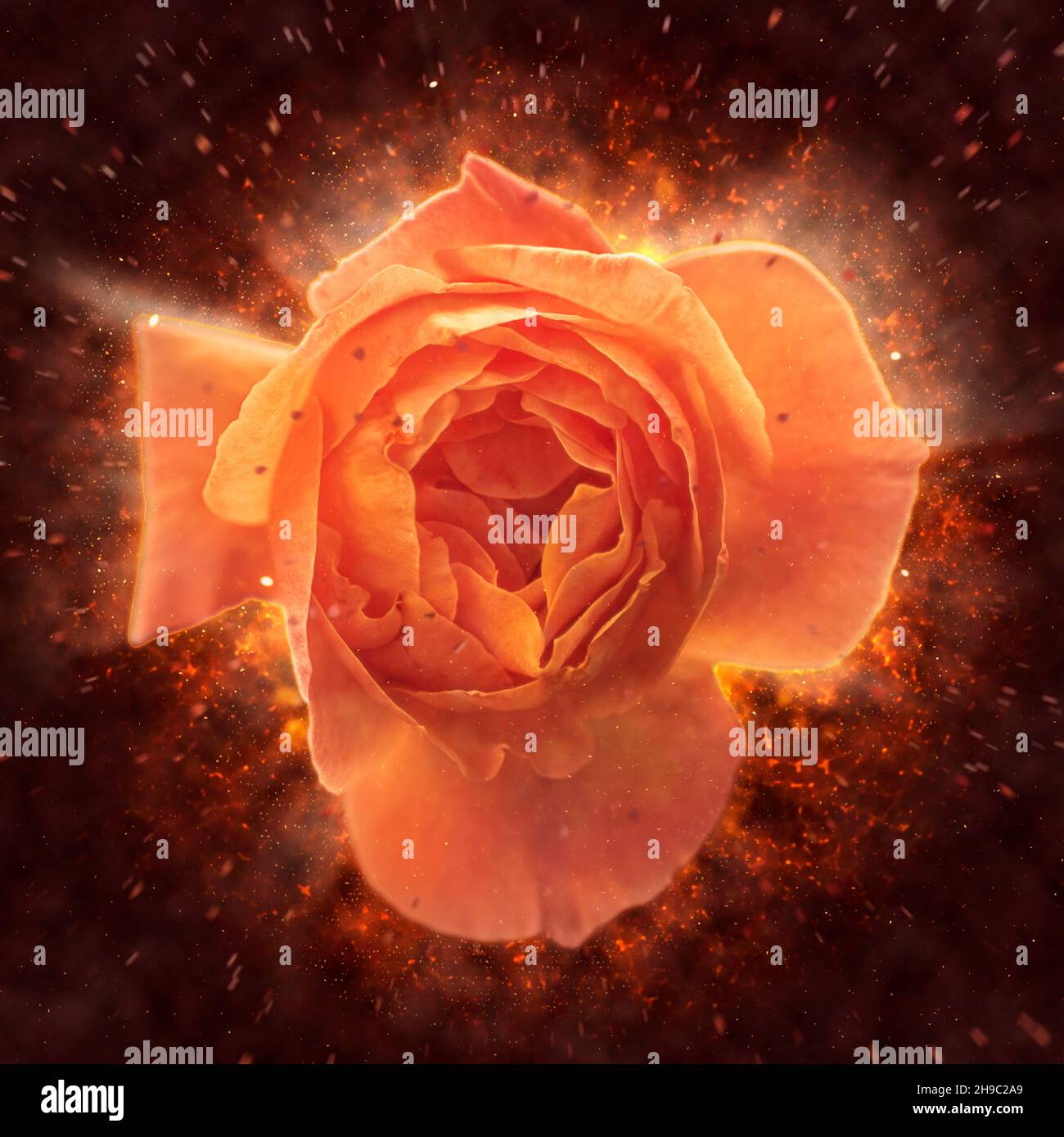 Exploding colours hi-res stock photography and images - Alamy