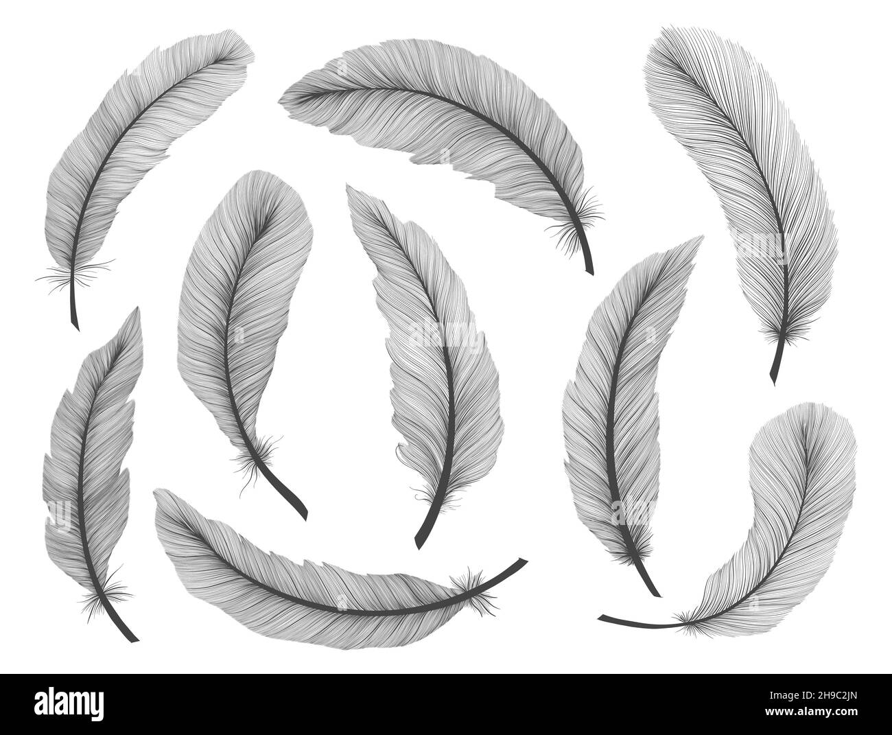 Feather drawing hi-res stock photography and images - Alamy