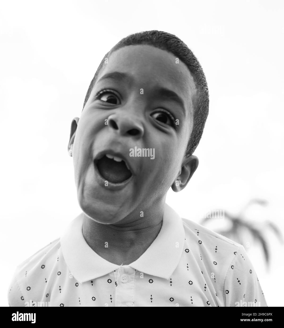 Random portraits hi-res stock photography and images - Alamy