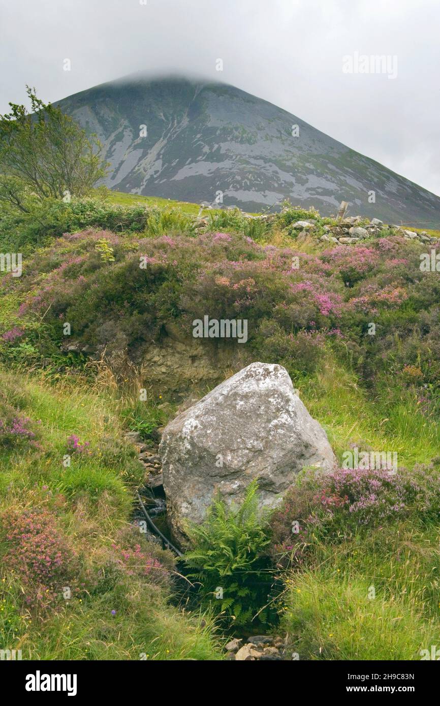 croagh patrick a mountain in county mayo southern ireland and an ...