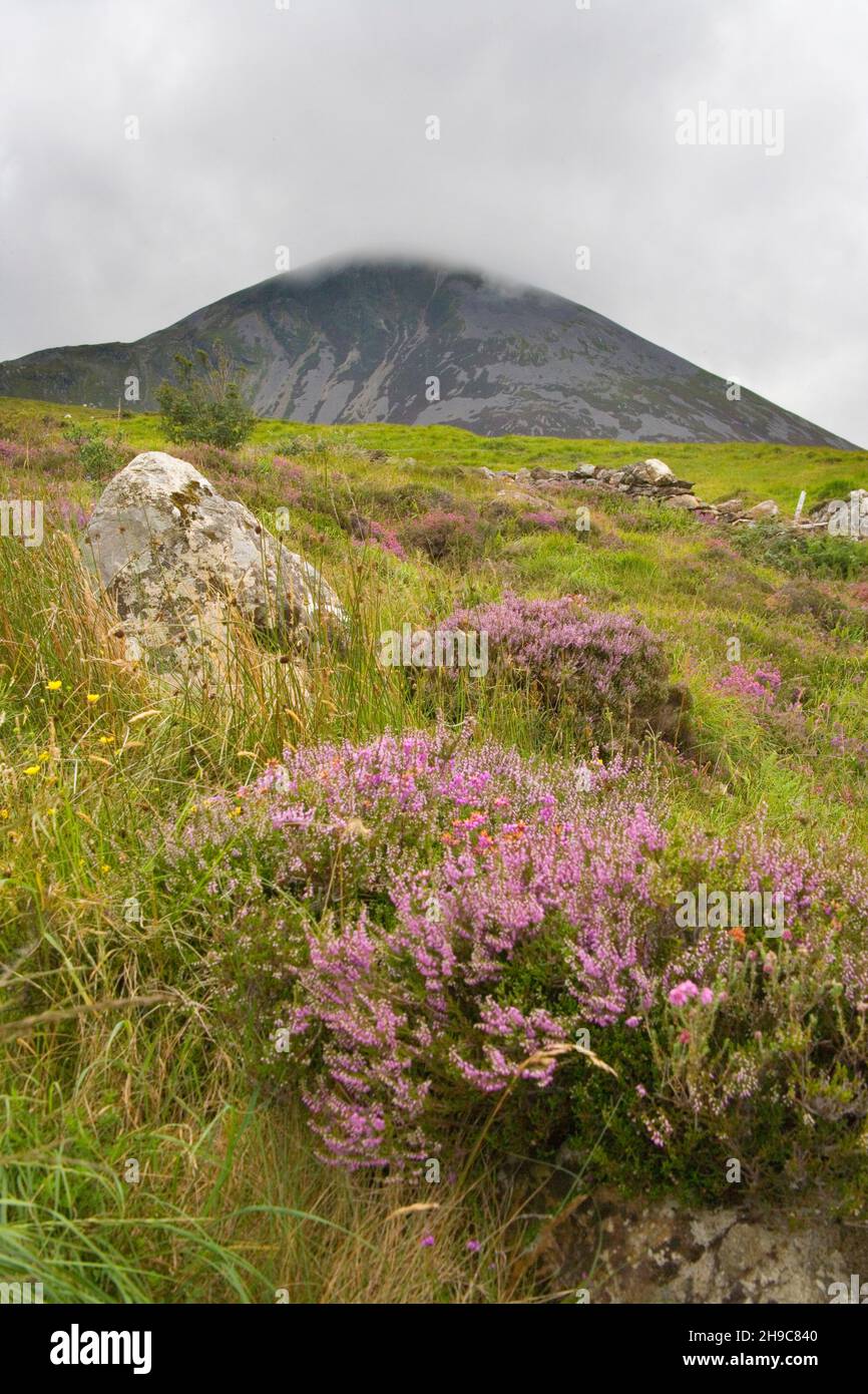 croagh patrick a mountain in county mayo southern ireland and an ...