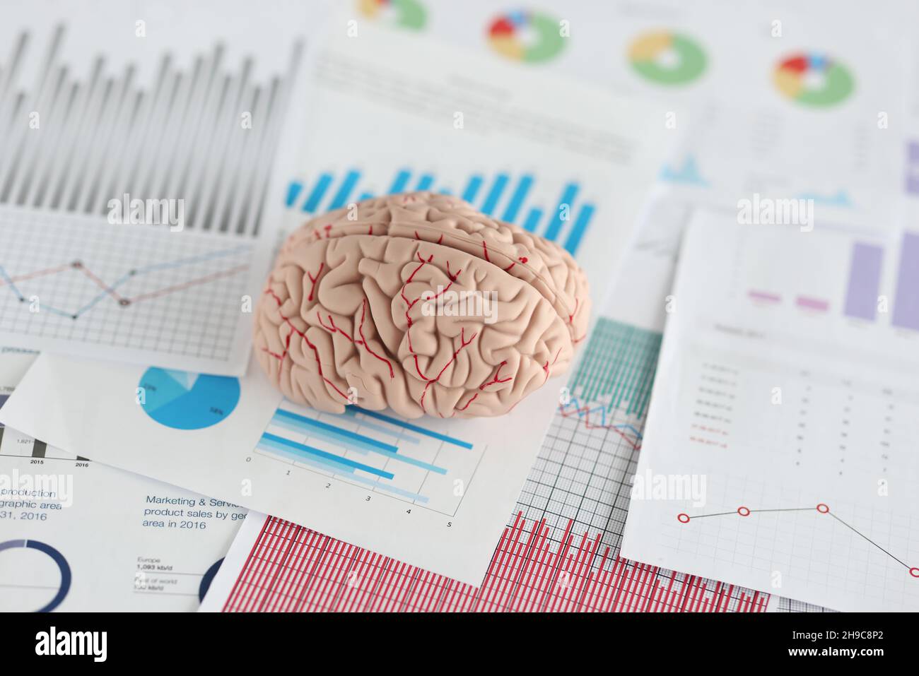 Artificial model of human brain lying on documents with graphs closeup ...