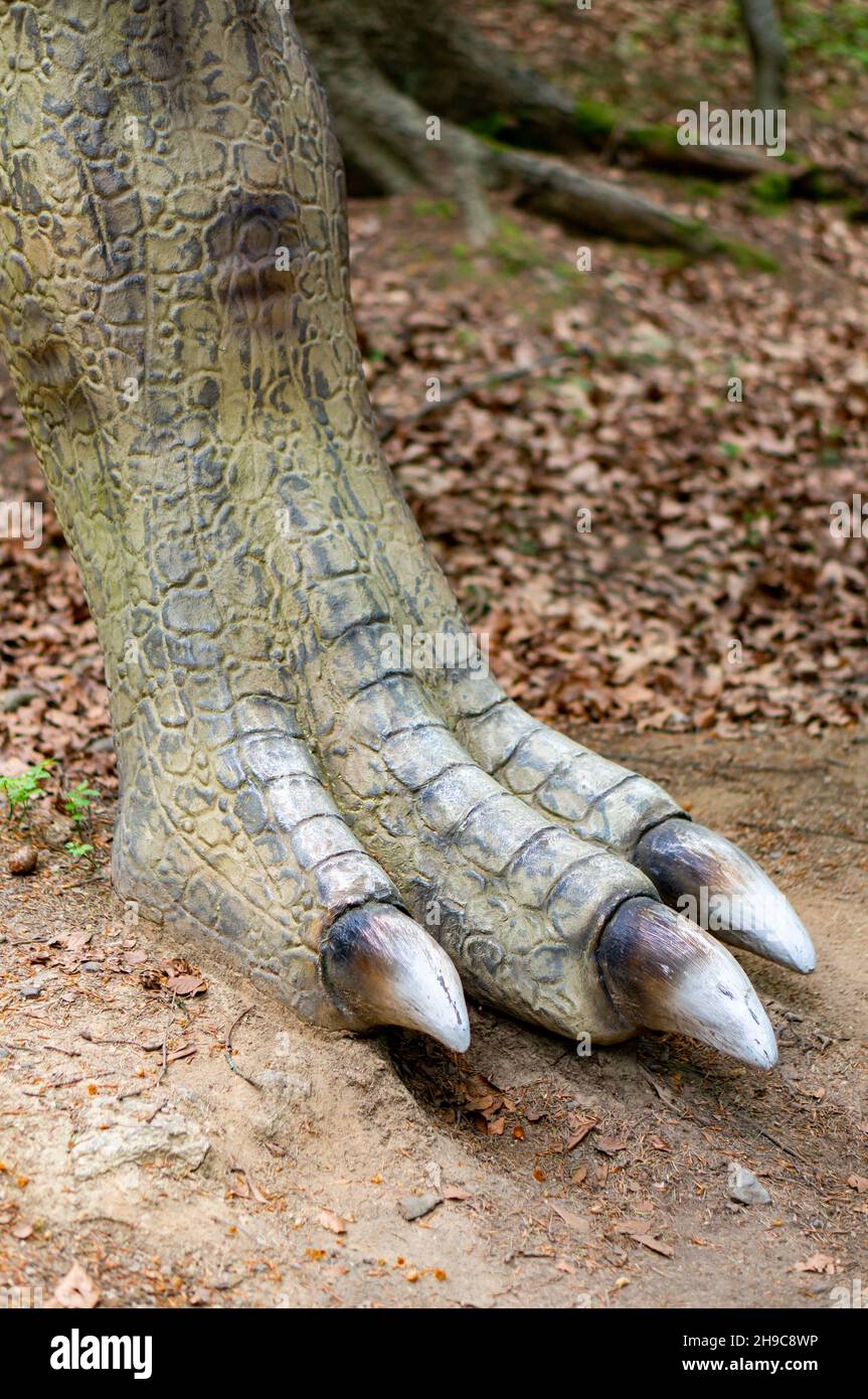 Allosaurus model hi-res stock photography and images - Alamy