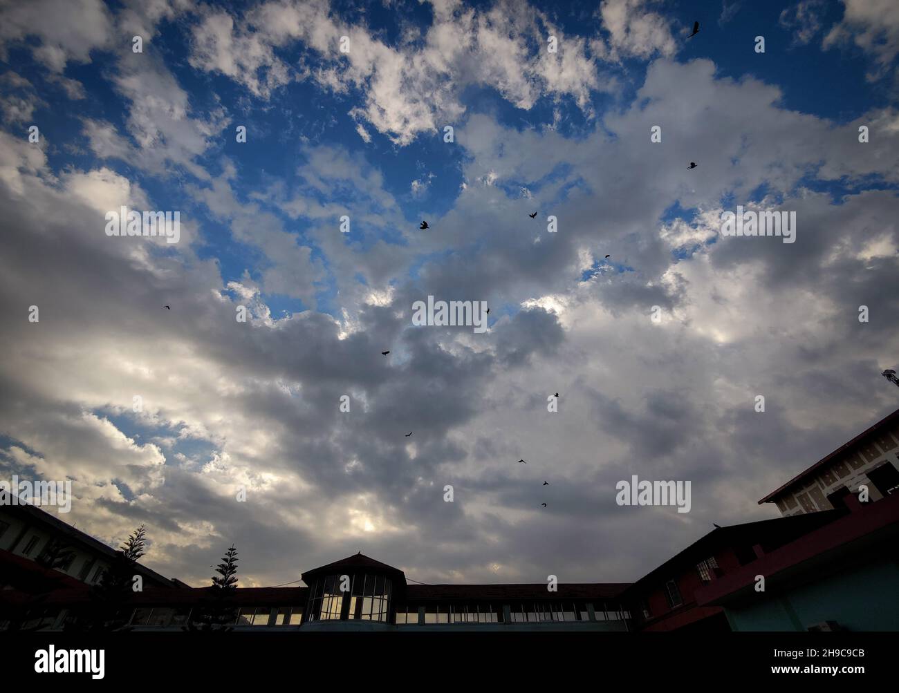 Kathmandu, Bagmati, Nepal. 6th Dec, 2021. Birds fly as the clouds hover ...