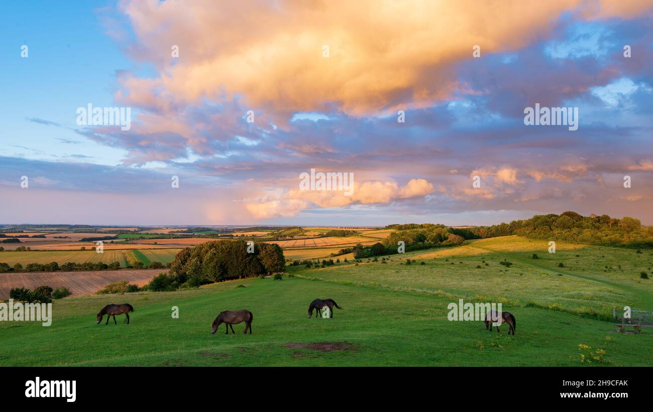 Danebury iron age hill fort hi-res stock photography and images - Alamy