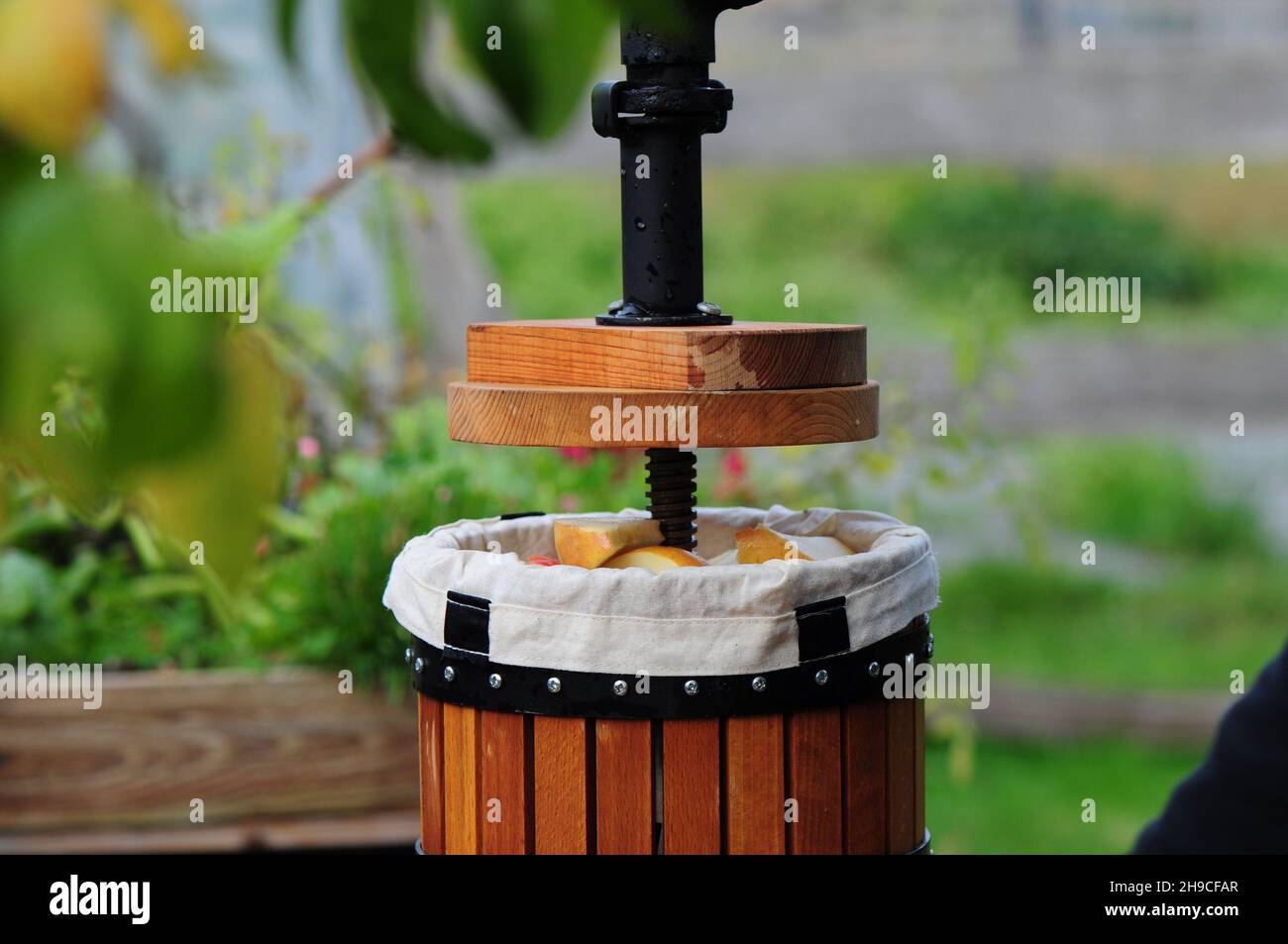 Craft traditional juice cider production with a wooden juicer in ...